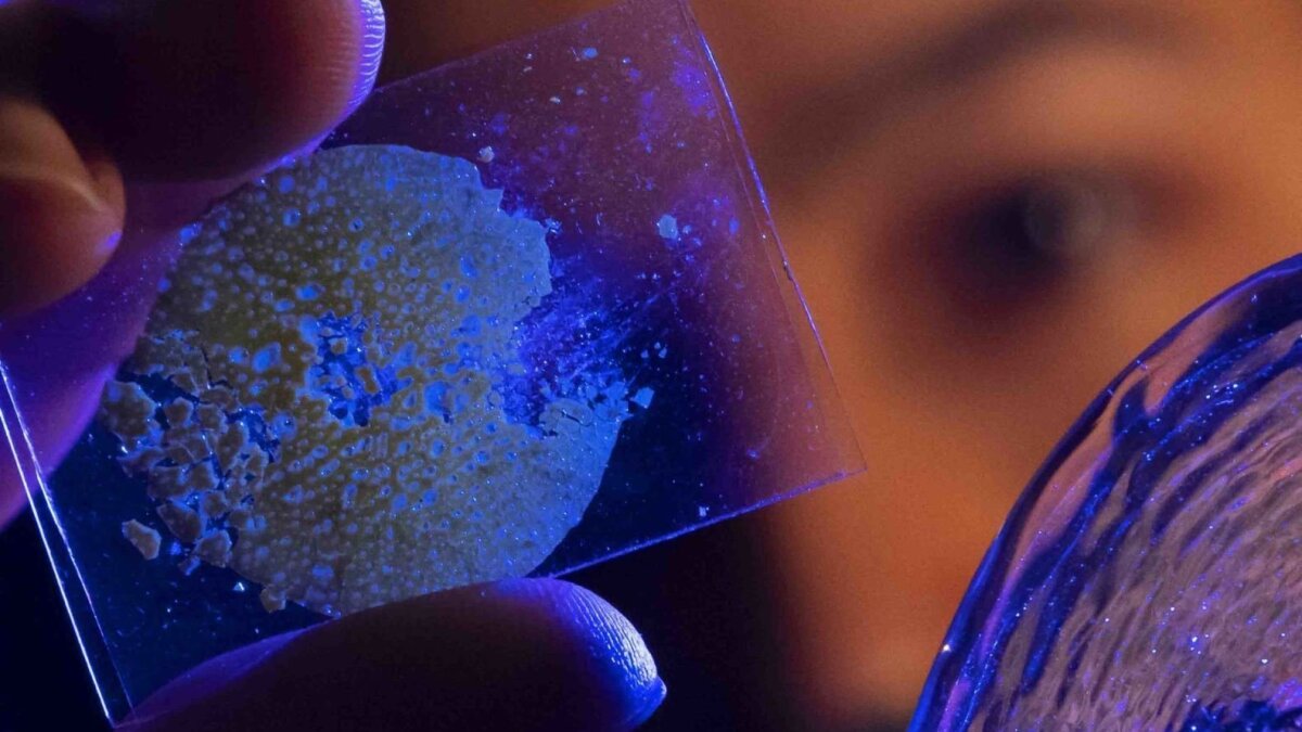 The best of both material worlds